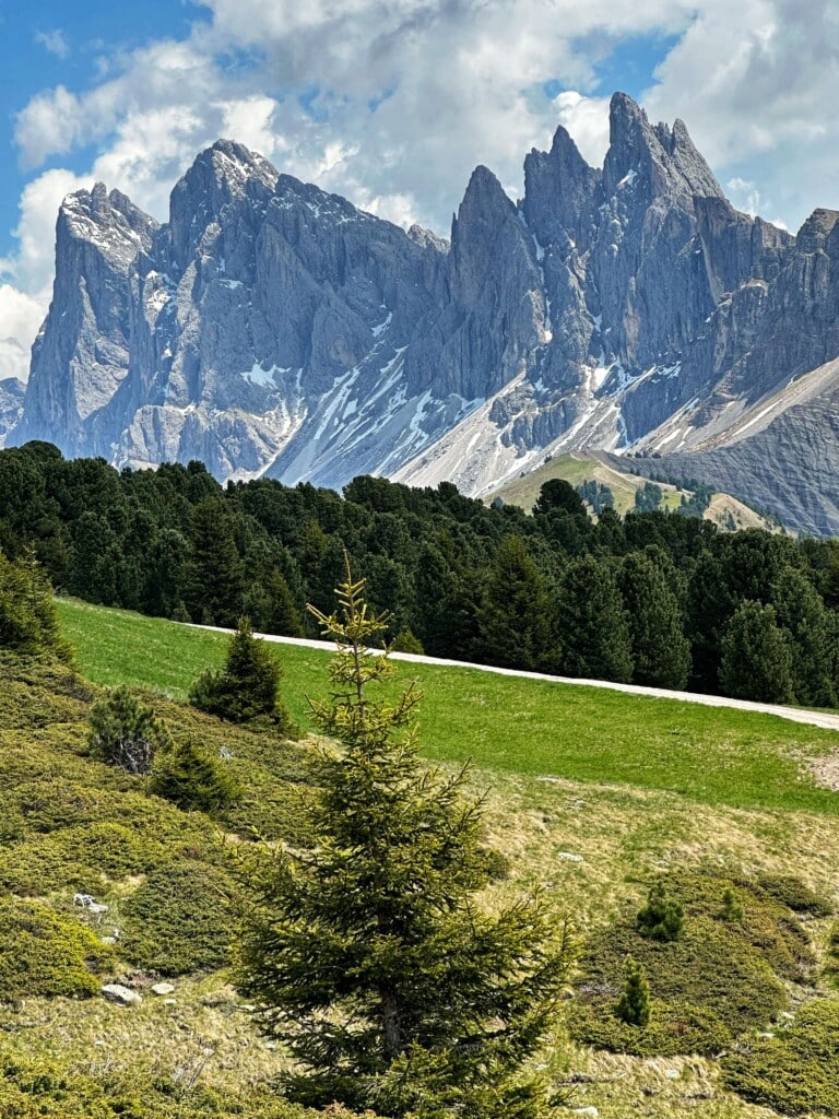 Gourmethotel Ansitz Steinbock, Südtirol – turnagain blog
